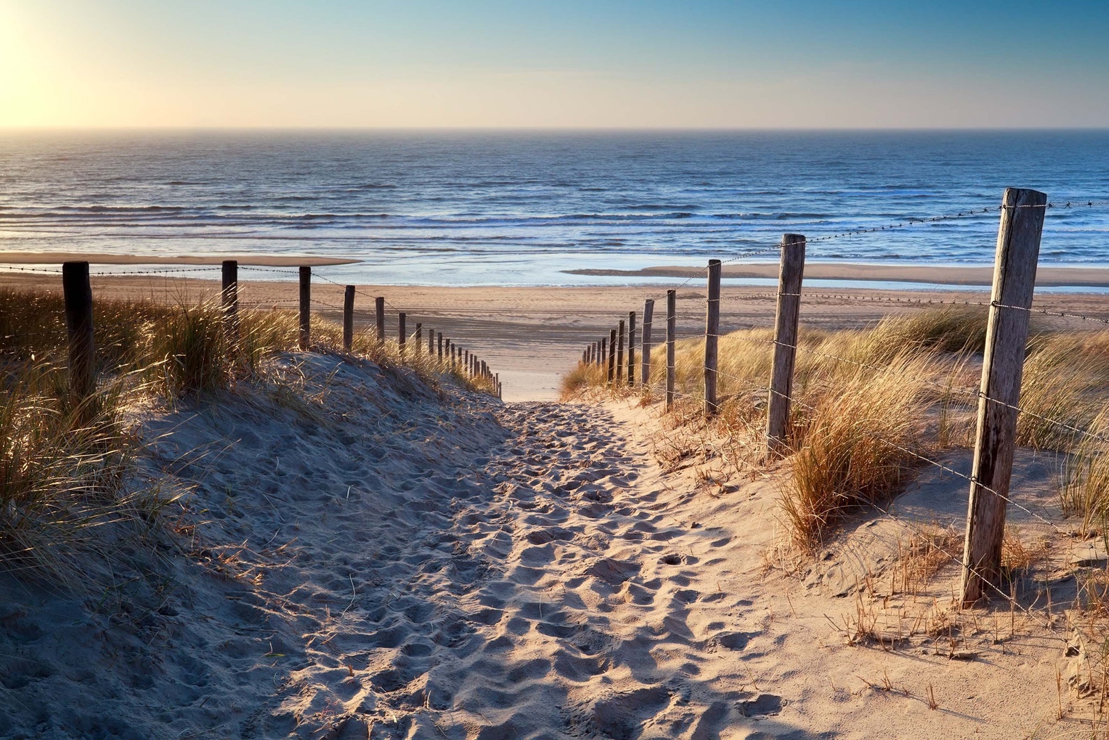 Beach Path Wall Mural / Coastal Wallpaper / North Sea / Seaside - Etsy