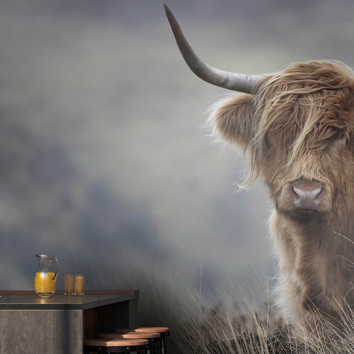 Highland Cow Wall Mural / Wildlife Photography / Nature - Etsy