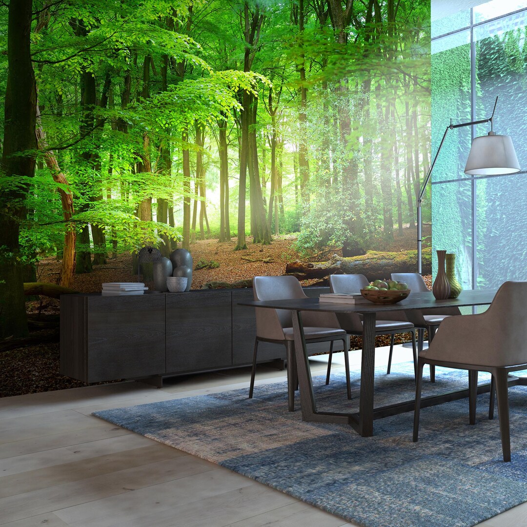 Forest Wall Mural / Springtime / Walkway / Panoramic Wallpaper ...