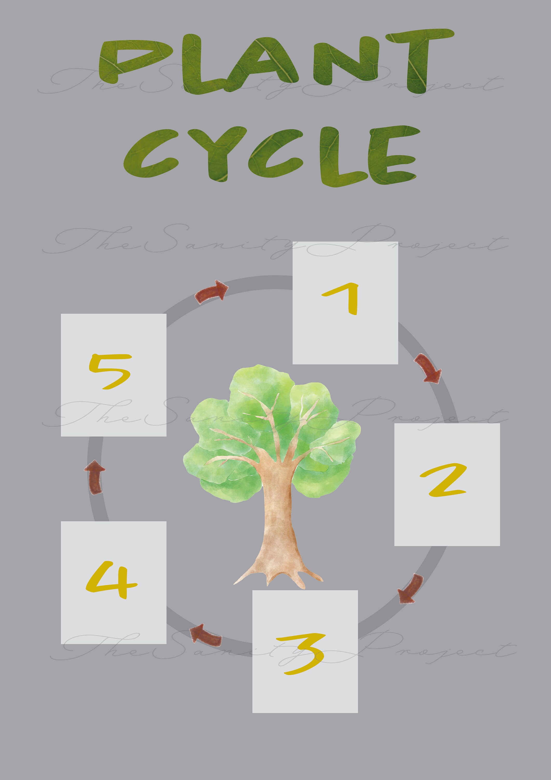 Plant Cycle Printable | Homeschooling Instant Download | Vegetable ...