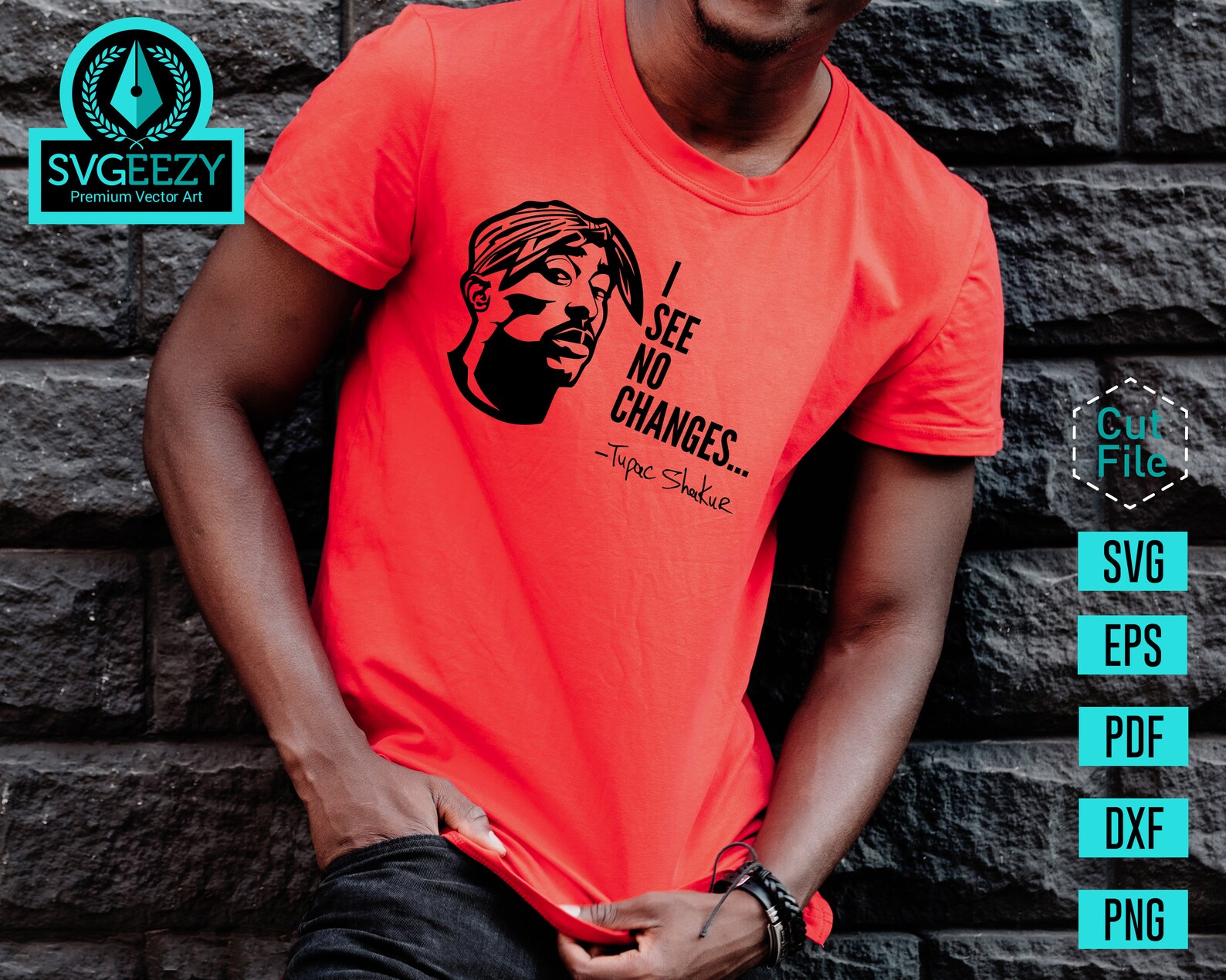 I See No Changes Tupac Tupac Tshirt West Coast Vibes Tupac | Etsy