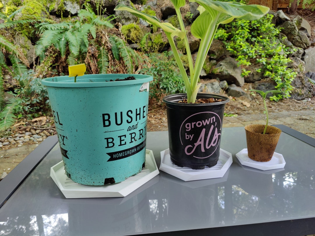Drain Tray for Planters | Assorted Sizes and Colors | Twisted - Etsy