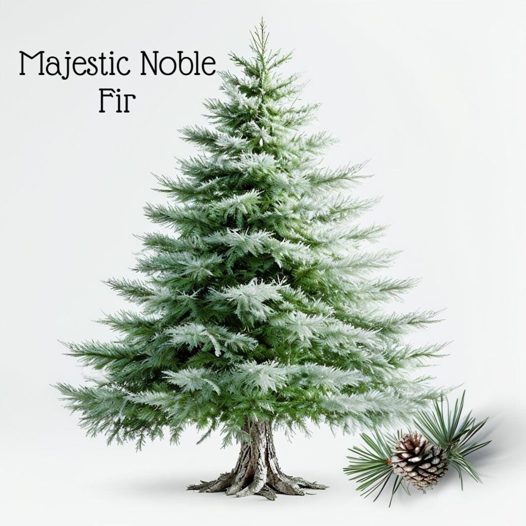Digital Download of a Fir Tree With Single Leaf Insert, White ...