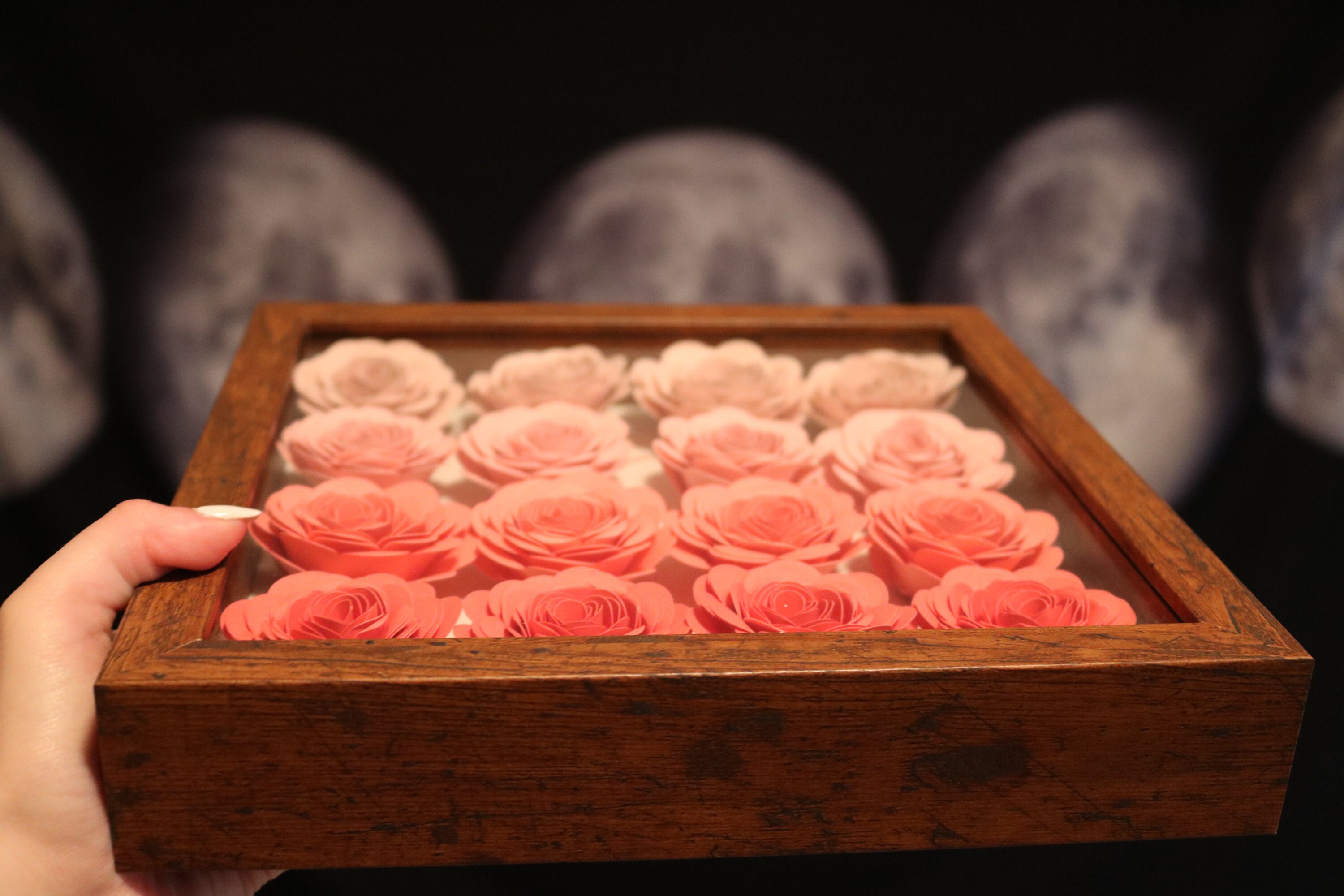 Always and Forever Flower Shadow Box Rose Flowers Shadow - Etsy Canada