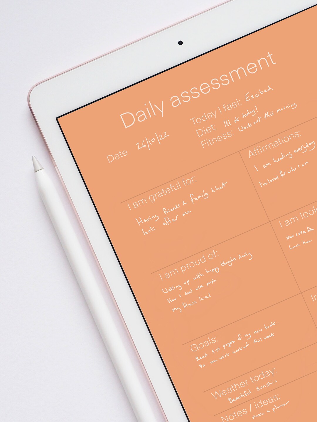 Self Assessment Planner, Daily Planner, Self Planner, Digital Download ...