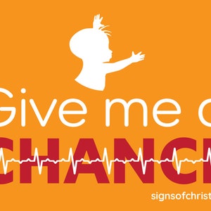 Give Me a Chance Yard Sign - Etsy