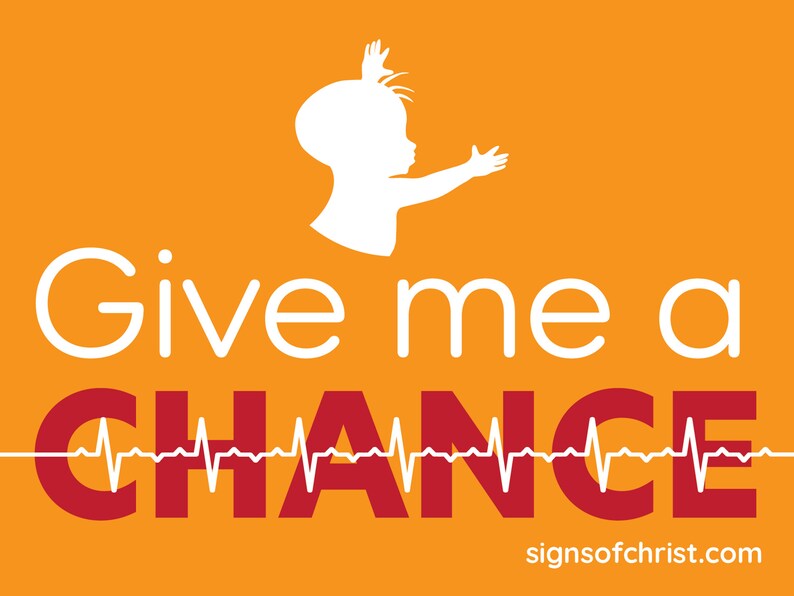Give Me a Chance Yard Sign - Etsy