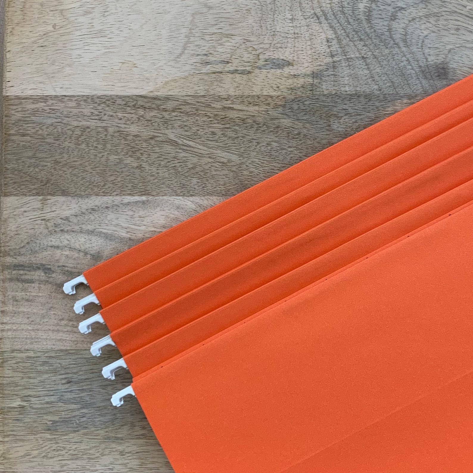 Hanging File Folders - Individual Without Tabs - Etsy