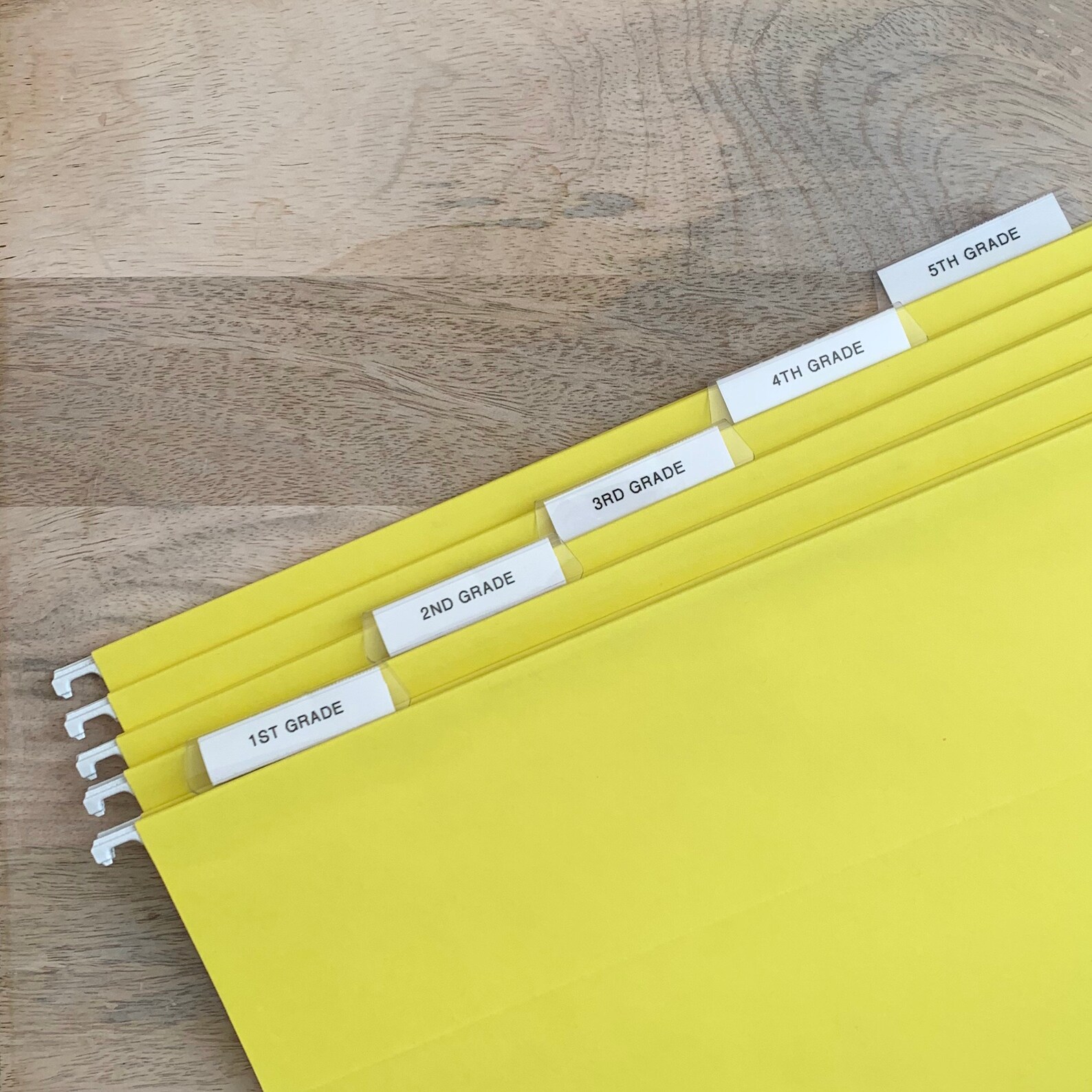 Hanging File Folders Individual With Tabs - Etsy