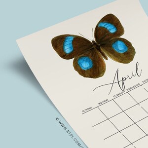 Undated Butterfly Calendar, Printable Calendar, Desktop Calendar, 2025 ...
