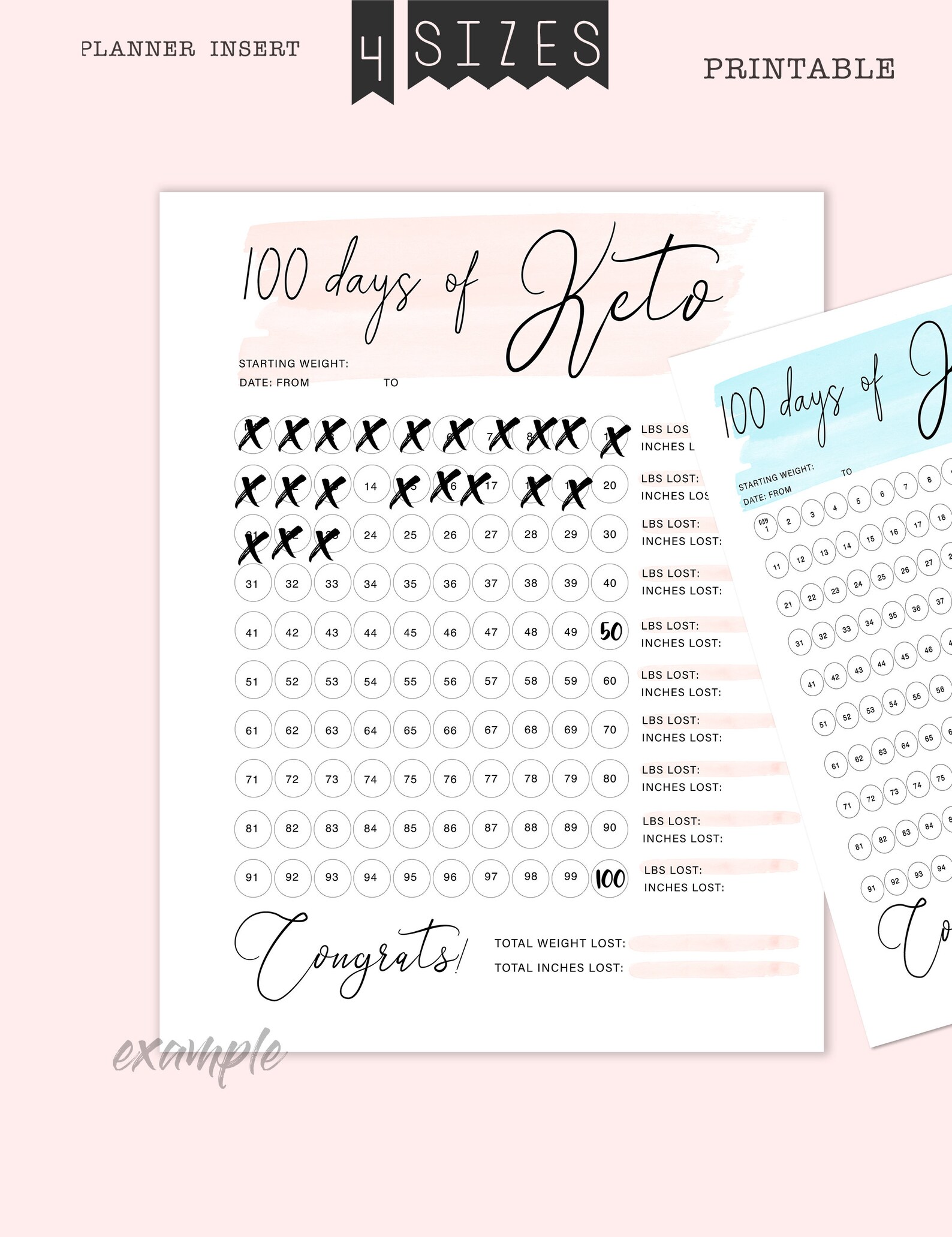 100 Days of Keto Keto Diet Tracker Keto Insert Printable - Etsy