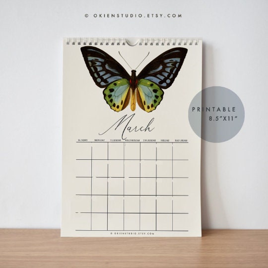 Undated Butterfly Calendar Printable Calendar Desktop - Etsy