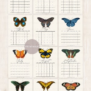 Undated Butterfly Calendar, Printable Calendar, Desktop Calendar, 2025 ...