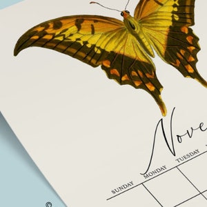 Undated Butterfly Calendar, Printable Calendar, Desktop Calendar, 2025 ...