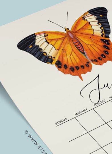 Undated Butterfly Calendar Printable Calendar Desktop - Etsy
