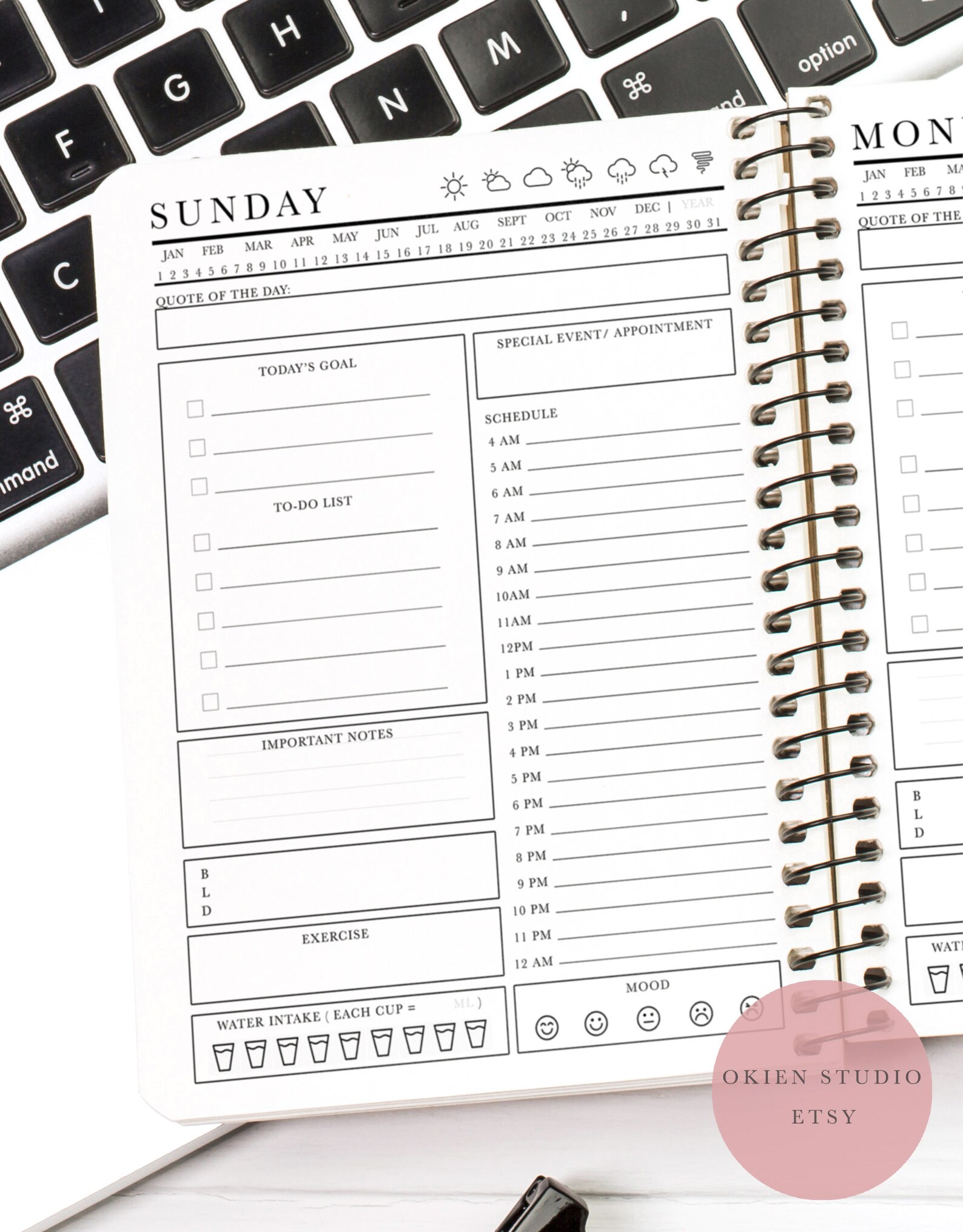 Planner Printable Day Planner Everyday Planner 365 Daily - Etsy