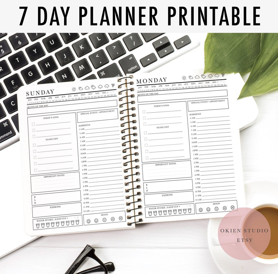 Planner Printable, Day Planner, Everyday Planner, 365 Daily Log, Daily ...