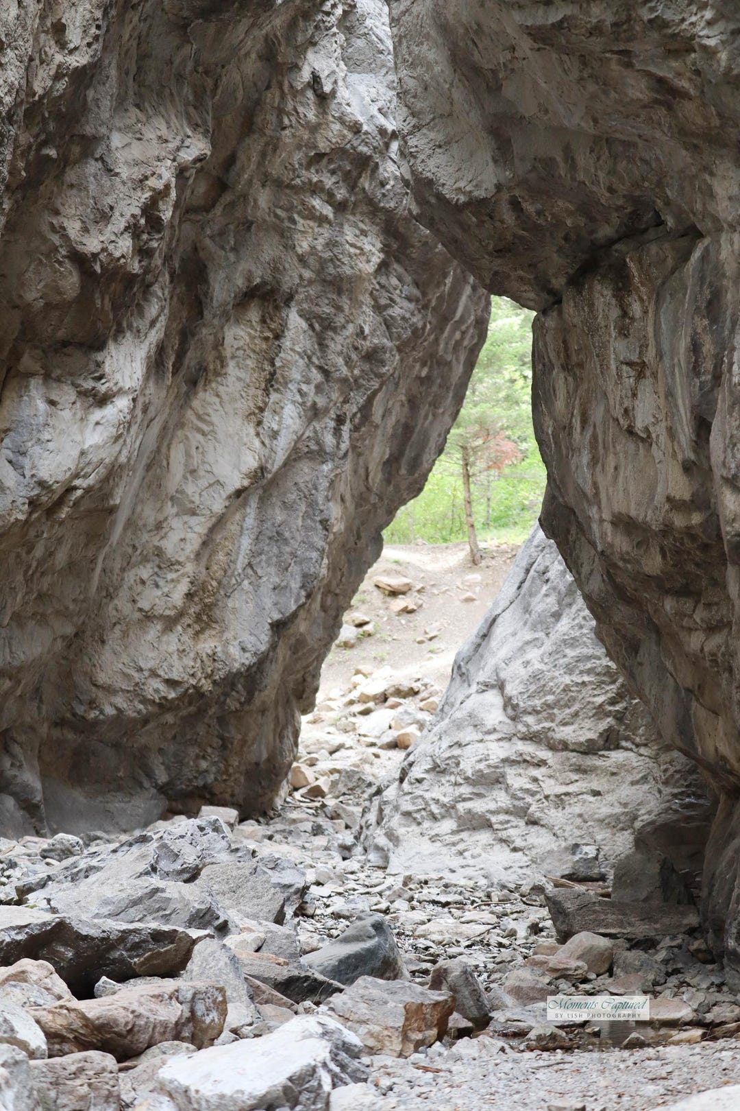 Refrigerator Canyon Montana Photography Print: Nature Home Decor - Etsy