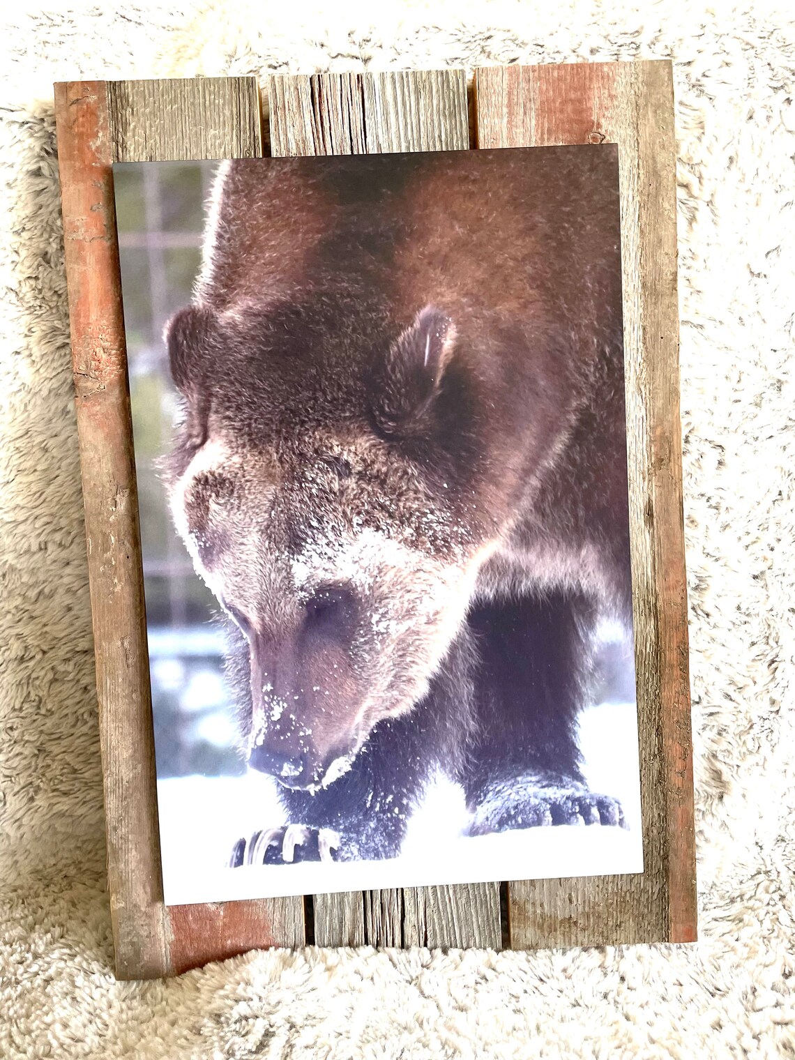 Yellowstone Wolves, Howling Wolf, Photography, Prints to Order, Home ...