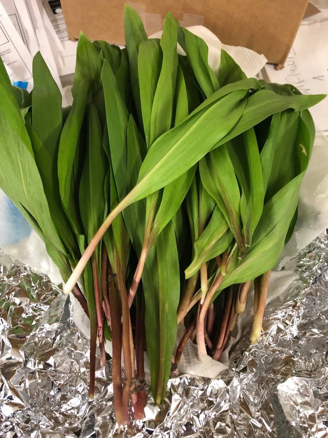 Dried Ramps/wild Garlic - Etsy