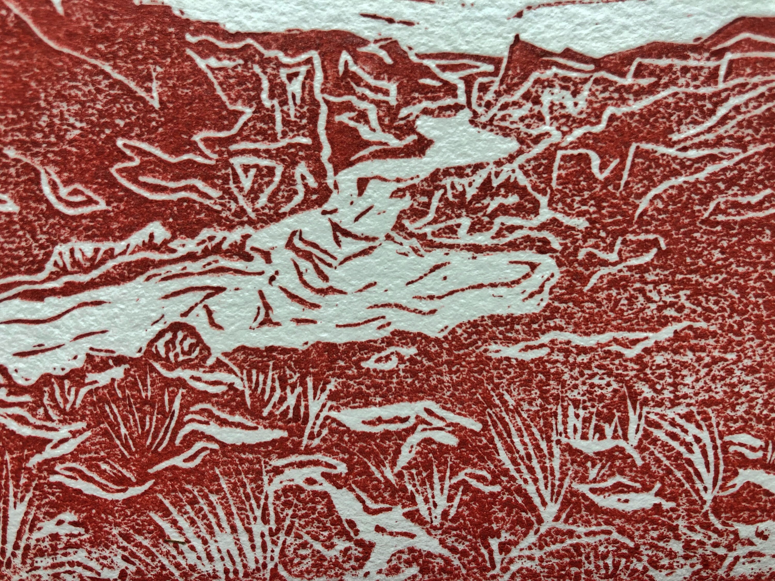 Original Owyhee River Block Print - Etsy