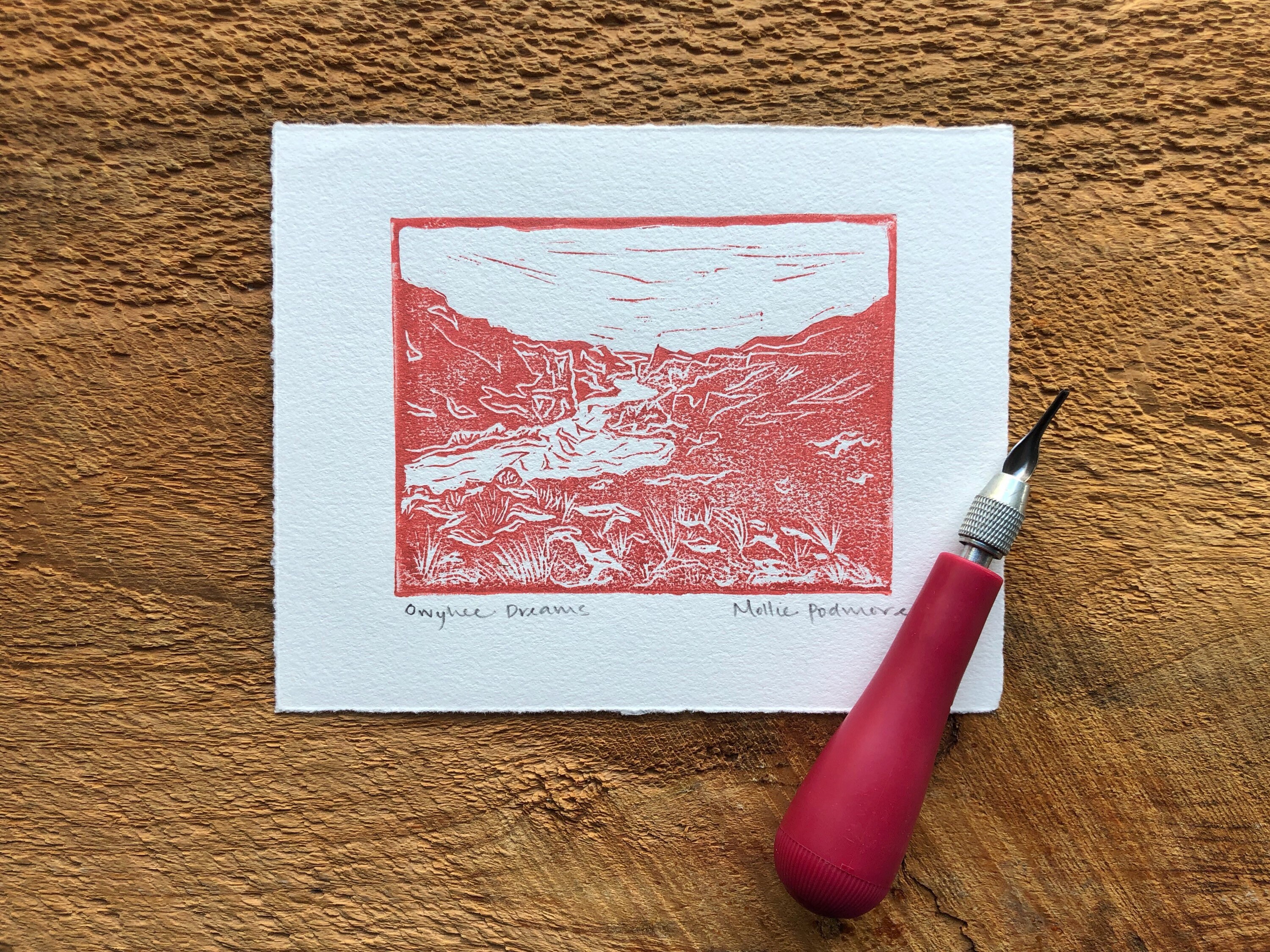 Original Owyhee River Block Print - Etsy