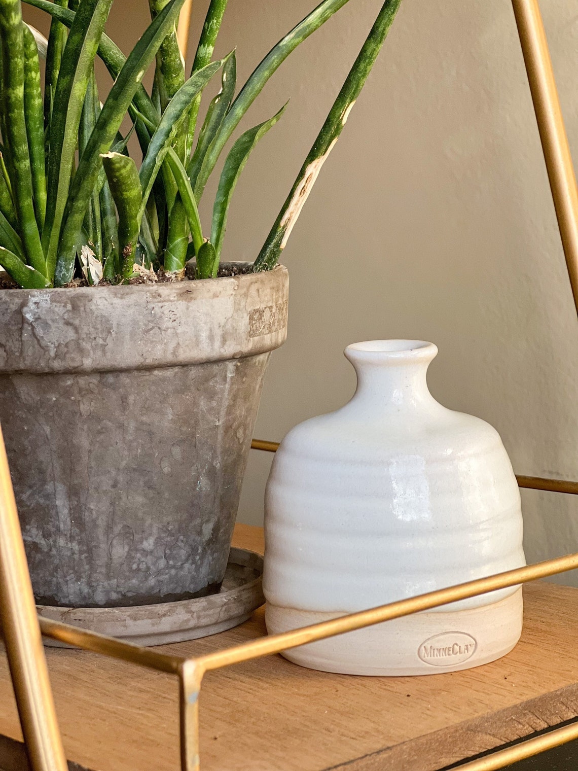 Choose Your Colorwatering Bell to Shower Your Plants - Etsy