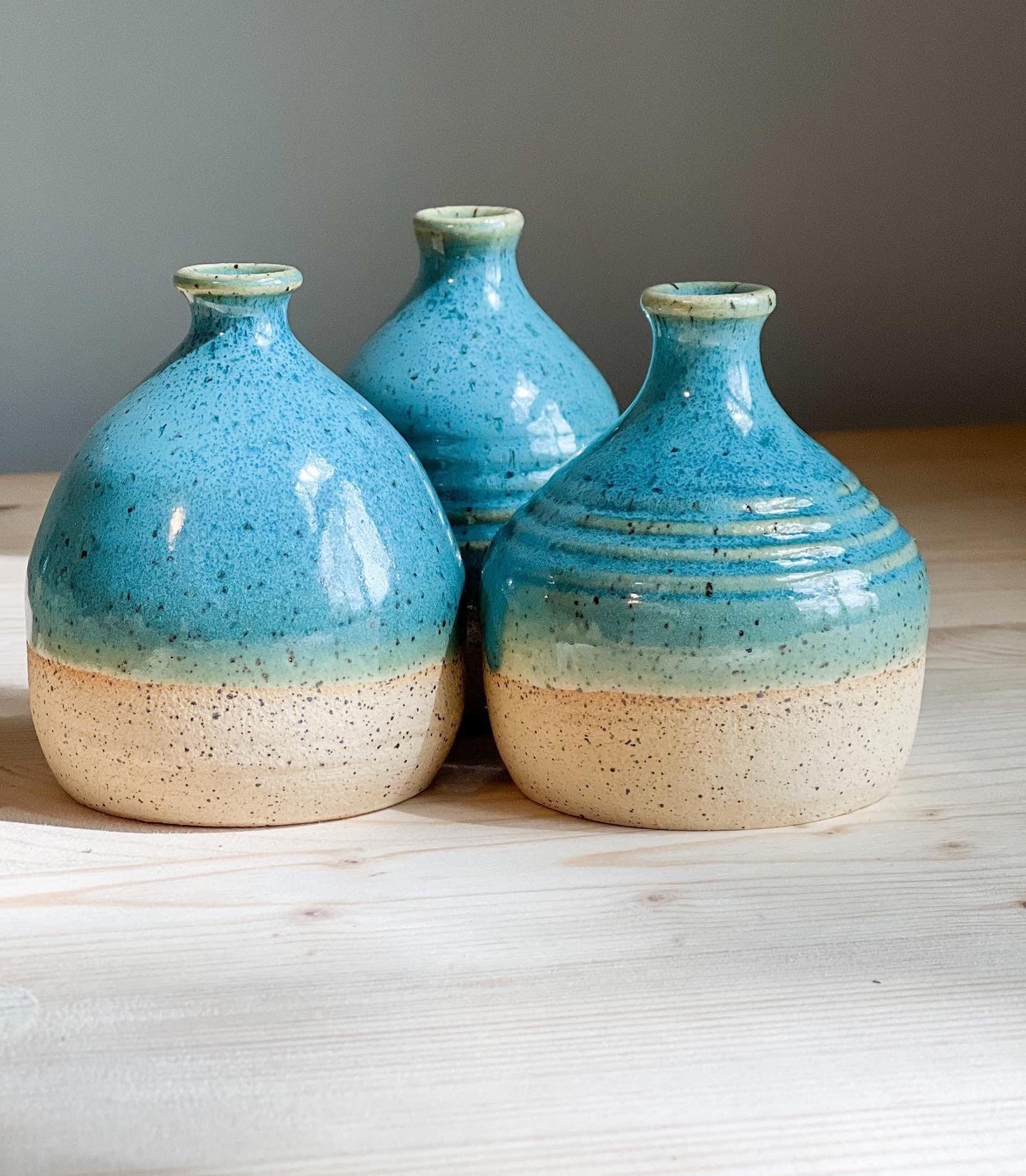 Watering Bell to Shower Your Plants-turquoise - Etsy