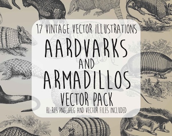Aardvarks and Armadillos Small Hand Drawn Illustration Clipart Pack ...