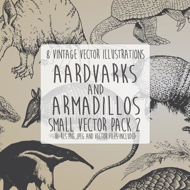 Aardvarks and Armadillos Small Hand Drawn Illustration Clipart Pack ...