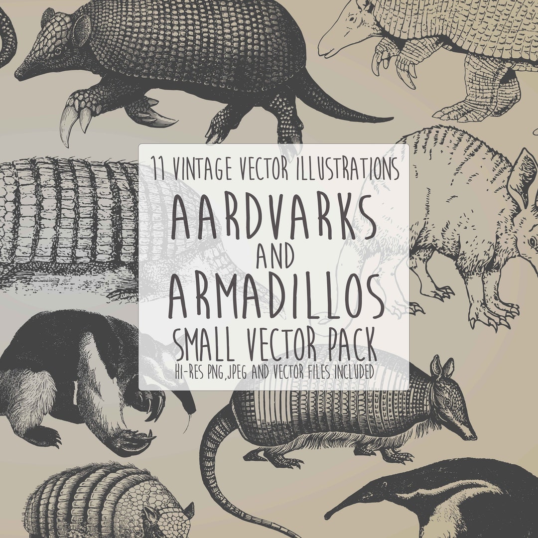 Aardvarks and Armadillos Small Hand Drawn Illustration Clipart Pack ...