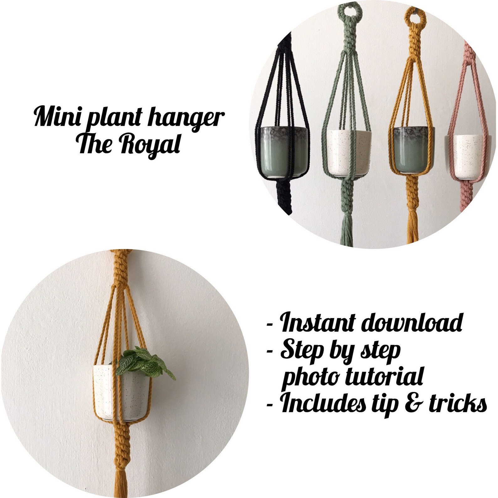 Macrame TUTORIAL Mini Plant Hanger the Royal Pdf PATTERN DIY - Etsy