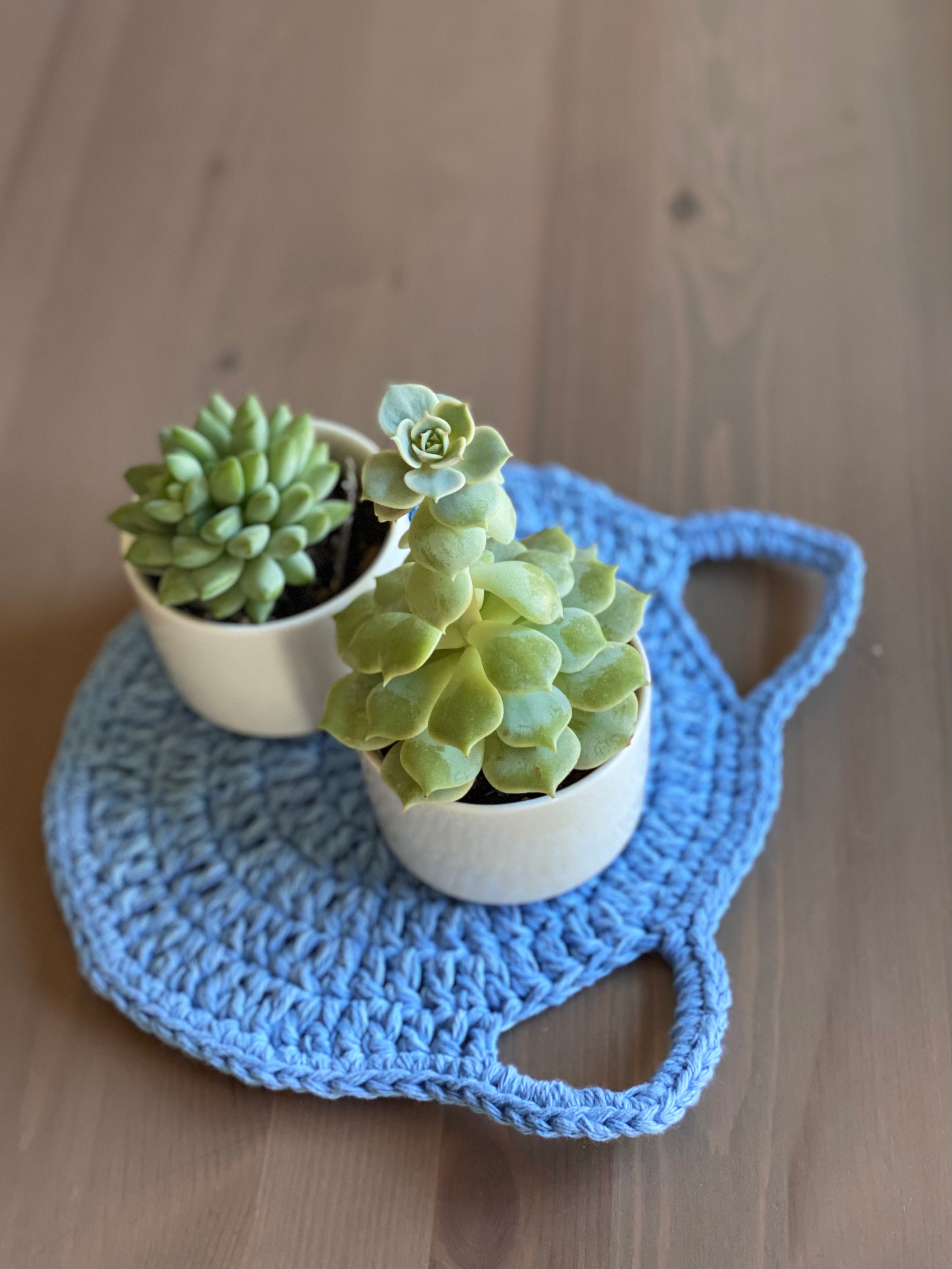 Crochet PATTERN: Cat Potholder + Dish Scrubby, 2 in 1 Pattern | Instant ...