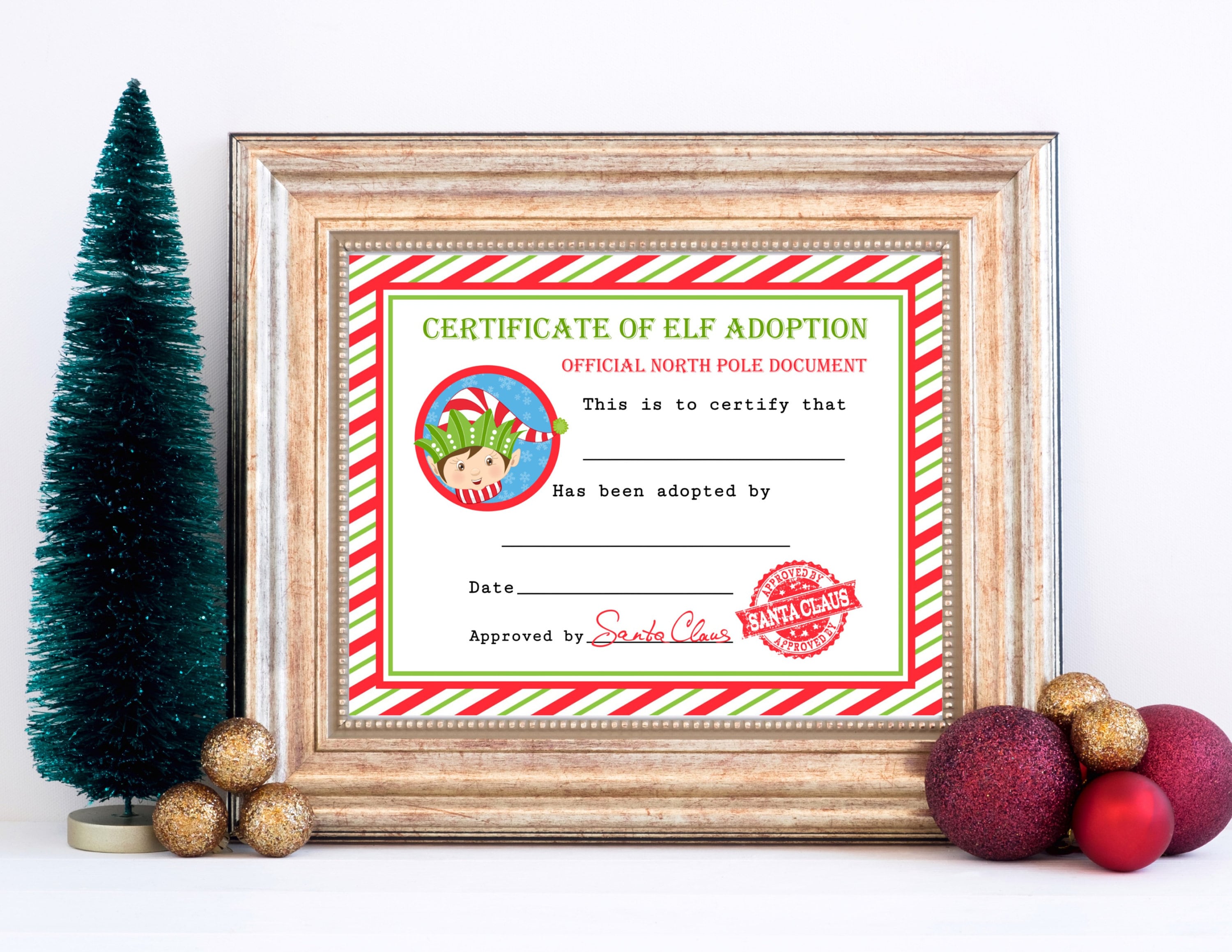 Elf Adoption Certificate, Christmas Shelf Elf Adoption Paper, Instant ...