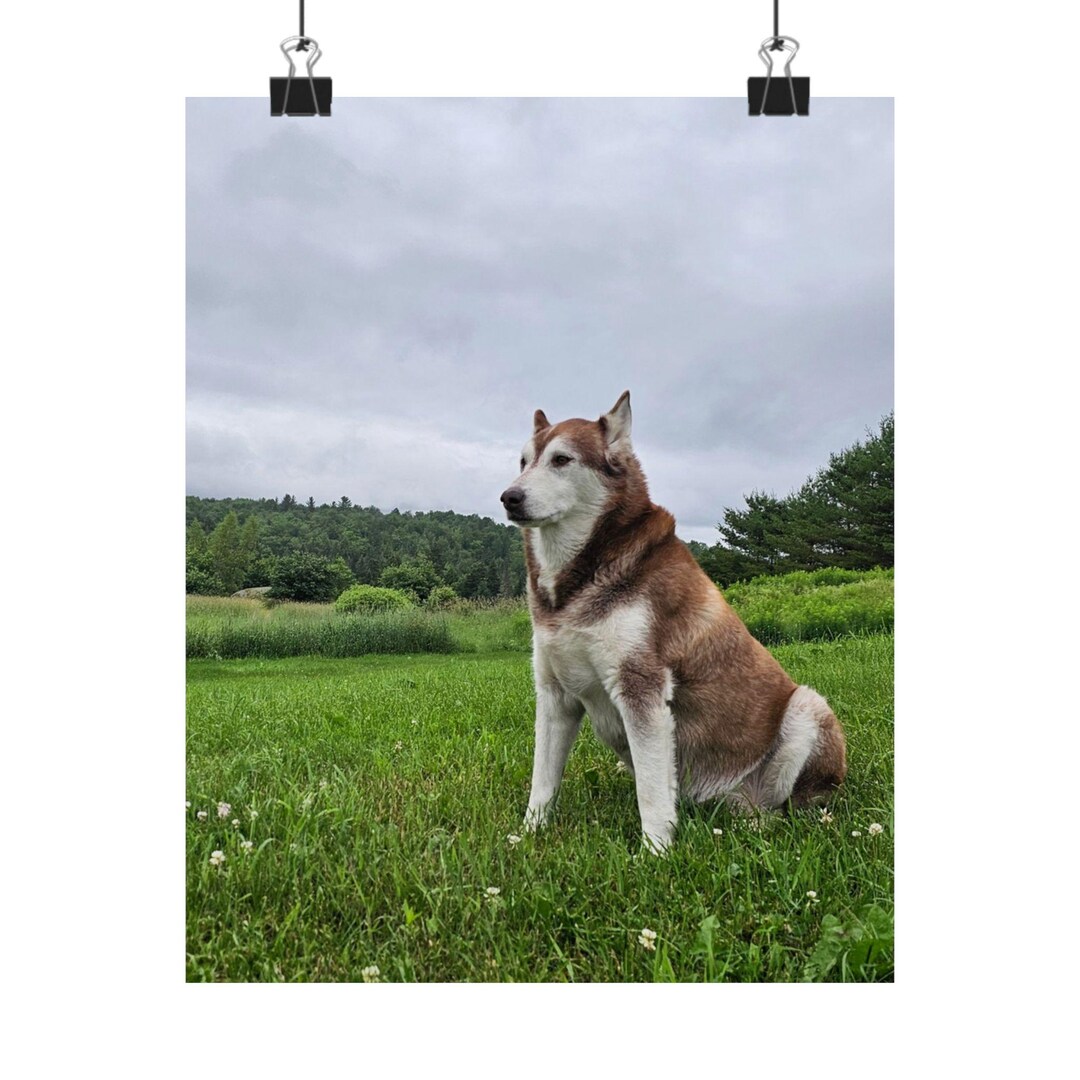Simba Looking Regal Vertical Poster - Nature Lover Decor - Etsy