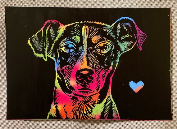 Scratch Art Animals Colorful