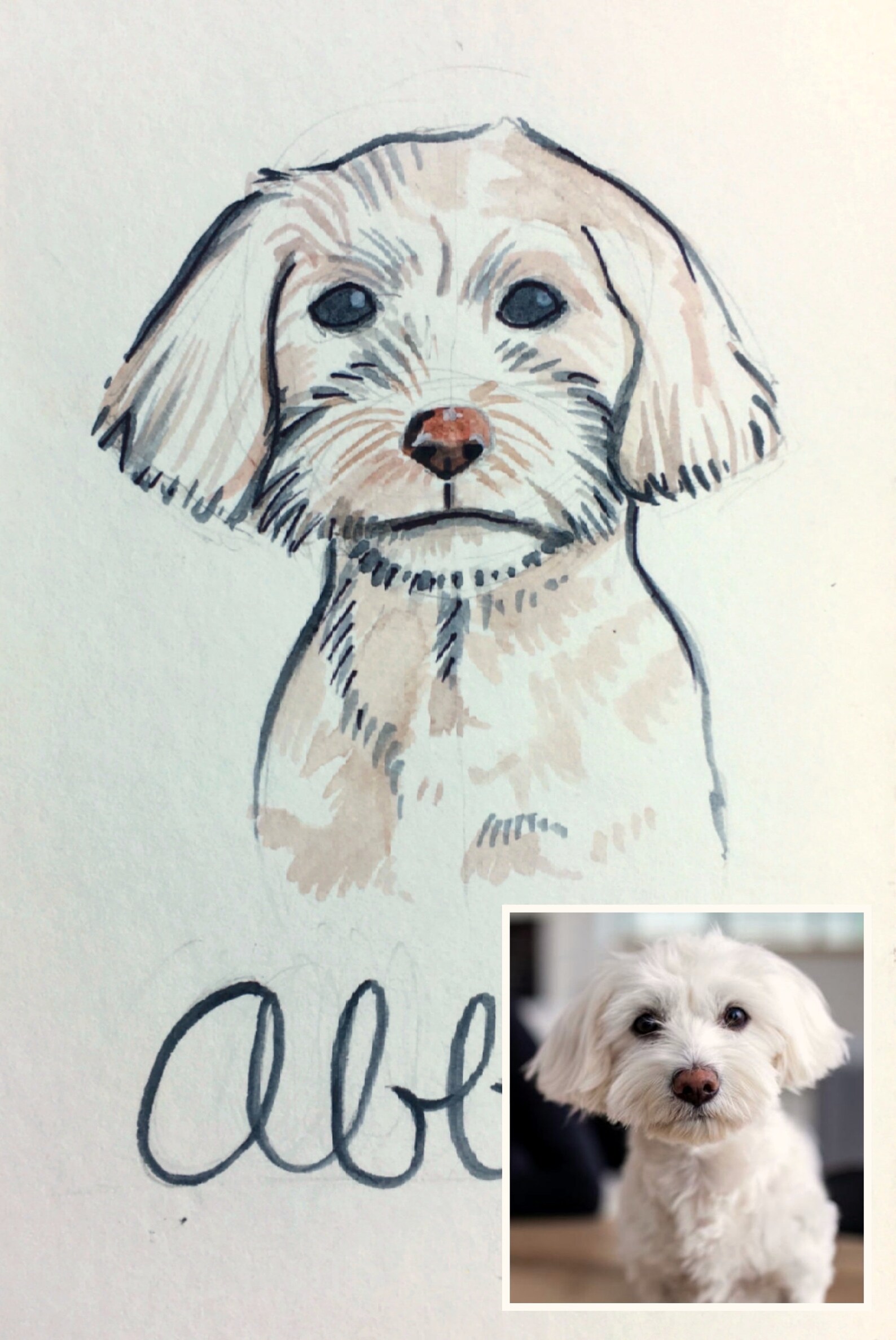 Simple Custom Watercolor Pet Portrait - Etsy