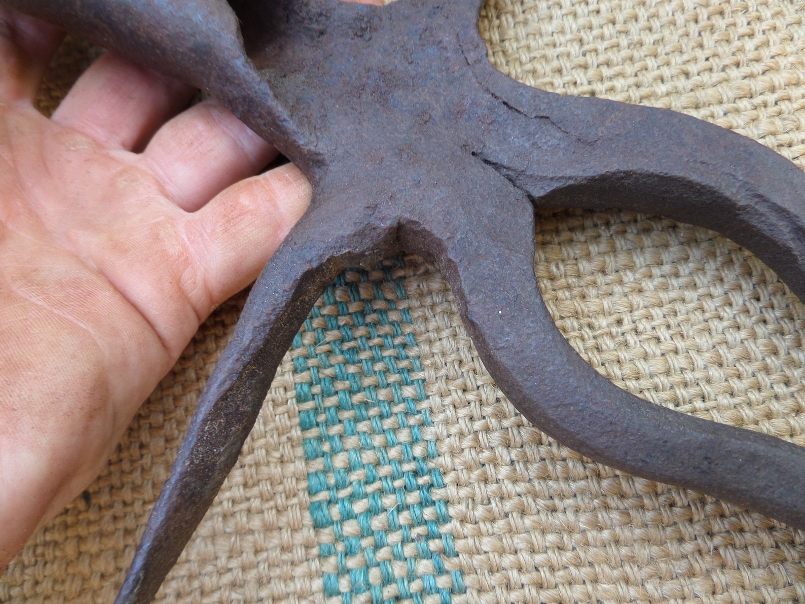 Rare Vintage Beet Root Puller Extracting Tool Antique Digging Beetroot ...