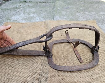 Bear Trap. A Real Trap. Trap Used for Bears. Vintage Trap for All Kinds of Animals. A Real ...