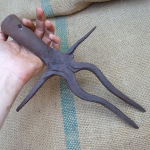 Rare Vintage Beet Root Puller Extracting Tool Antique Digging Beetroot ...
