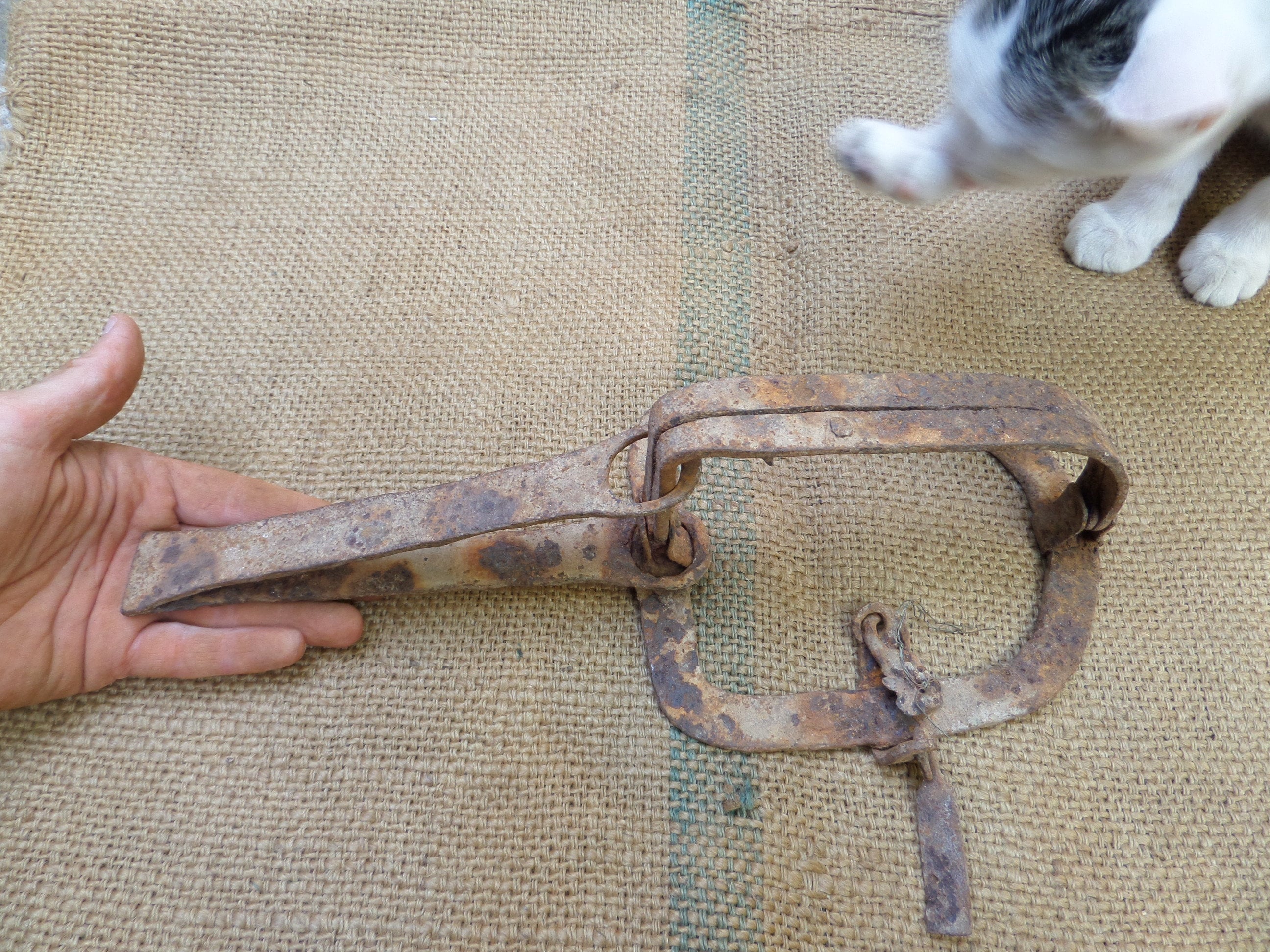 Antique Blacksmith Hand Forged Animal Trap Vinatge - Etsy