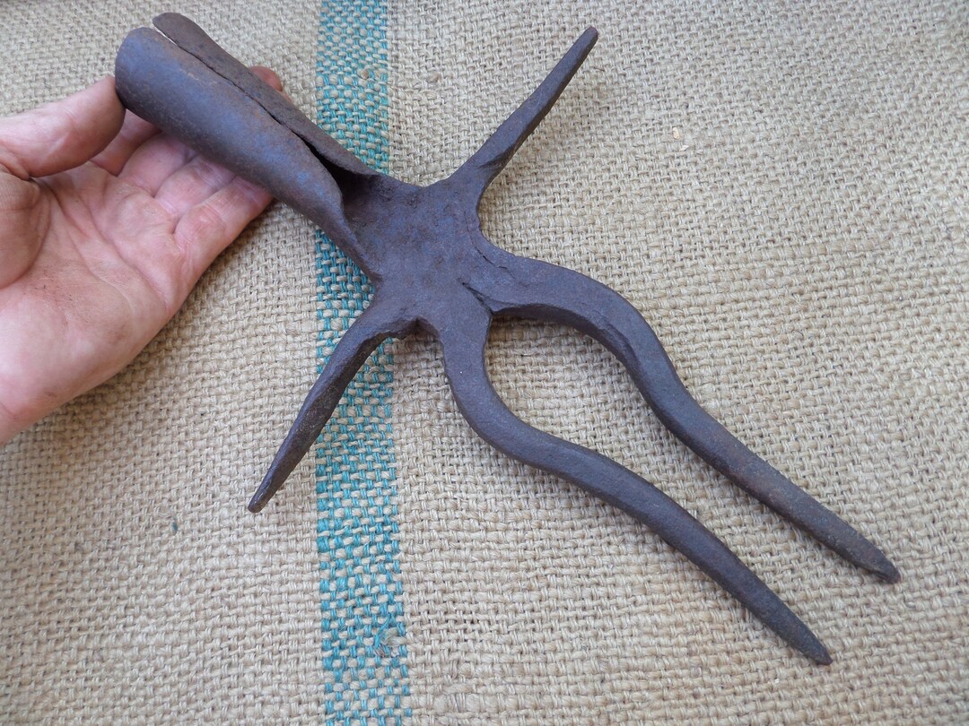 Rare Vintage Beet Root Puller Extracting Tool Antique Digging Beetroot ...