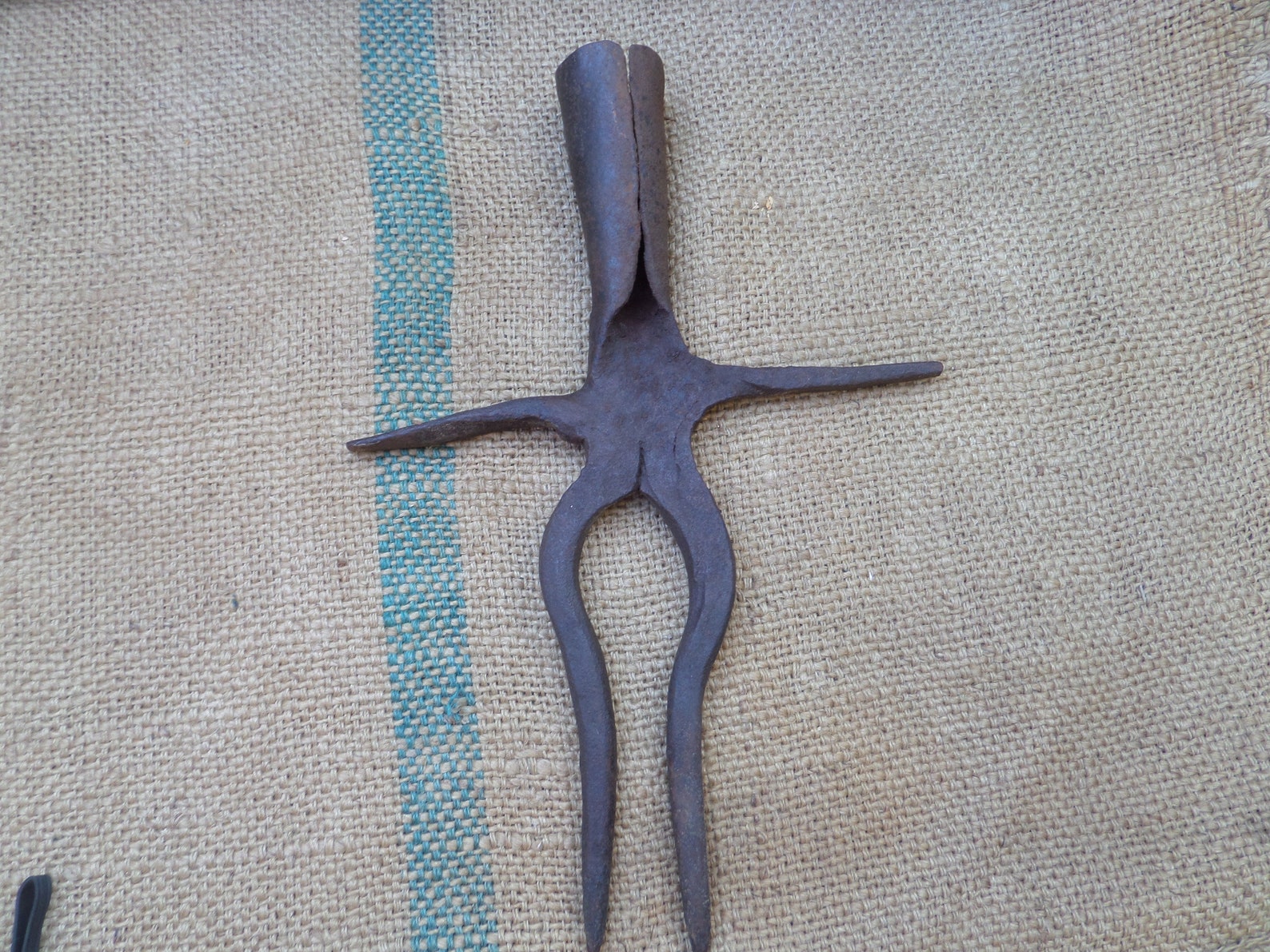 Rare Vintage Beet Root Puller Extracting Tool Antique Digging Beetroot ...