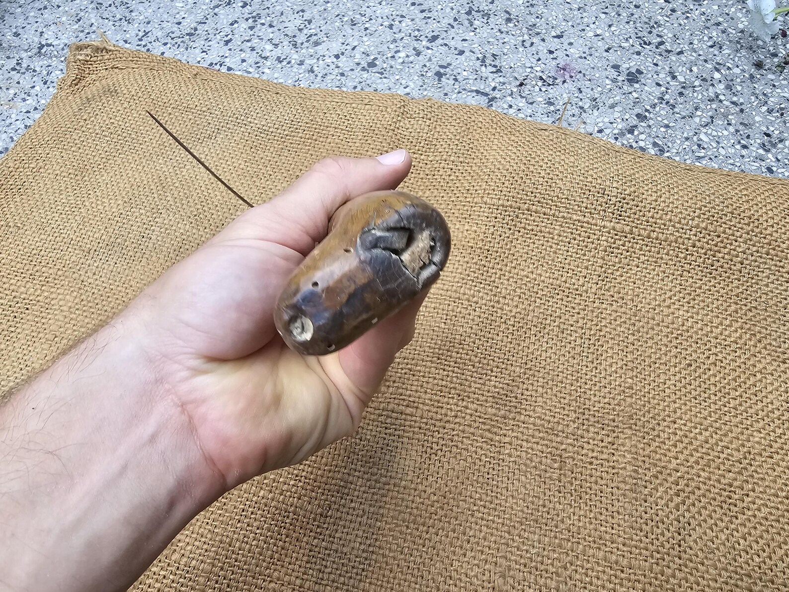 Small Antique Billhook Hand Forged Vintage Tool Axe Faschineknife - Etsy