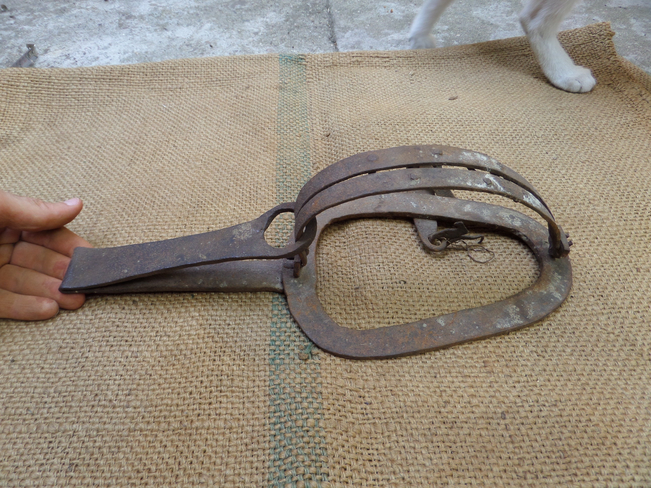 Antique Vintage Animal Trap Wrought Iron Blacksmith Hand Forged - Etsy