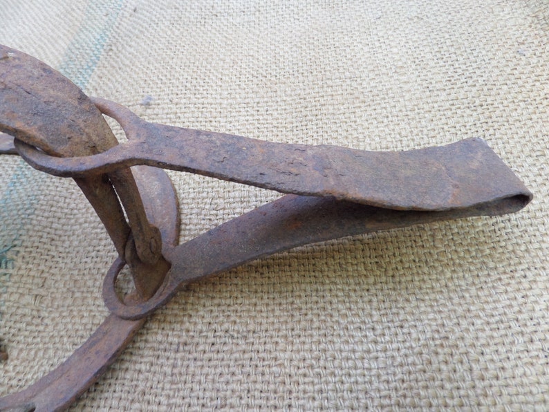 Antique Vintage Animal Trap Wrought Iron Blacksmith Hand Forged - Etsy