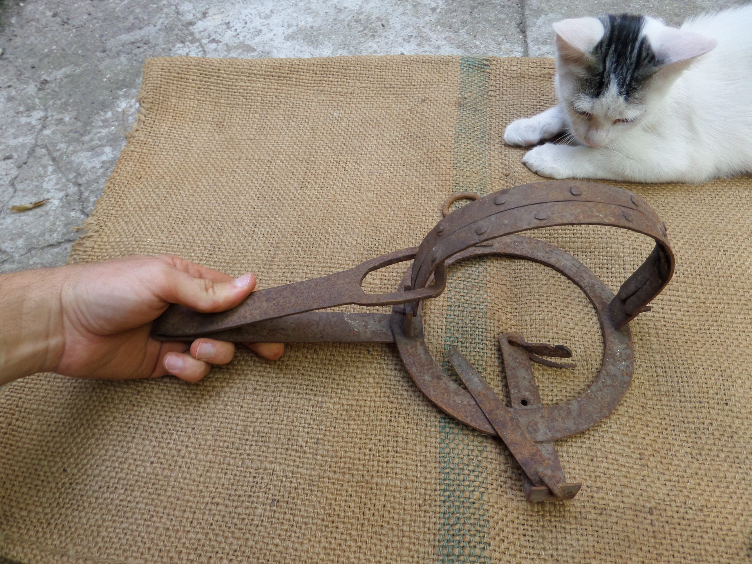 Antique Vintage Animal Trap Wrought Iron Blacksmith Hand Forged - Etsy