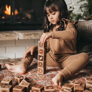 Animal and ABC Wooden Blocks | 7 Alphabet Blocks | Wooden Animal Blocks ...