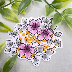 Albino Ball Python Enclosure Sticker - Etsy
