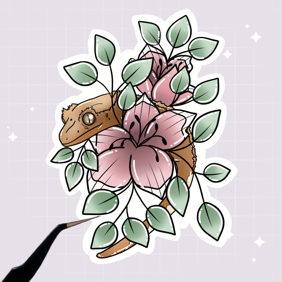 Crested Gecko Enclosure Sticker - Etsy
